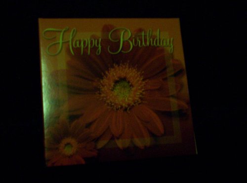 Happy Birthday Nature Sounds CD Greeting Card - Amazon.com Music