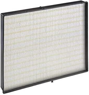 Hepa Replacement Filter, for Model HF3.0 and HF3.1 : Amazon.ca: Home