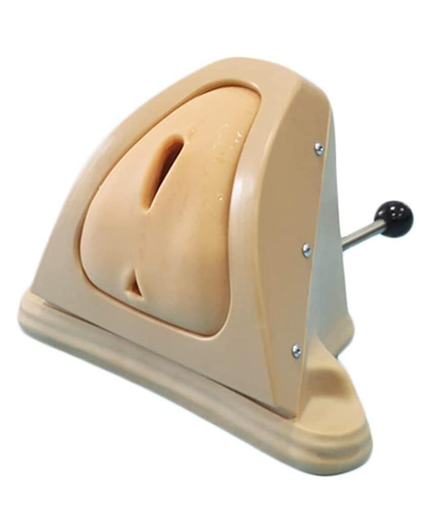 Buy LLC Removable Advanced Perineal Incision Suture Skill Training ...