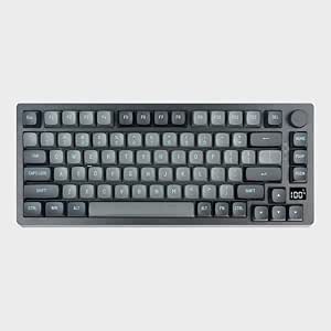 COMPAE - TECH MK75 Pro RGB Mechanical Keyboard with Display BT5.0/2.4G ...