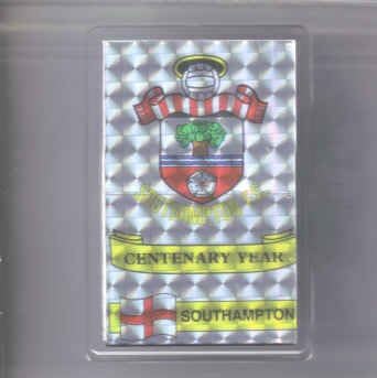 Panini Southampton FC 86" football badge sticker fridge magnet : Amazon ...
