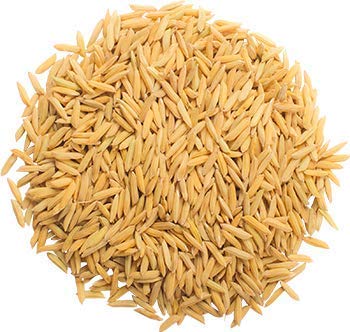 Buy ACHC Paddy Rice for Bird Food (900g) Online at Low Prices in India ...