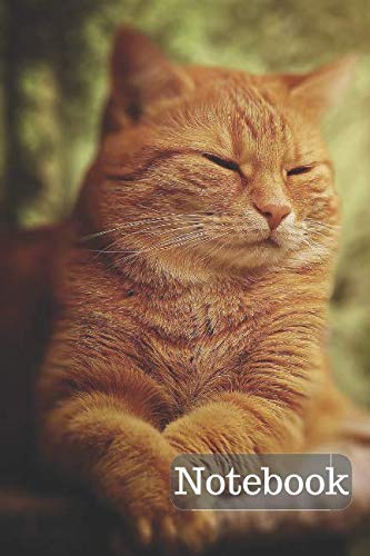 Notebook: Notebook with Cat on Cover. Notebook for Coloring Drawing and ...