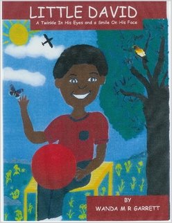 Little David: Wanda M. R. Garrett: 9781411613454: Amazon.com: Books