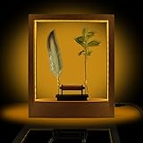 Slow Dance Frame - Makes Small Objects Move In Slow Motion | The Green Head