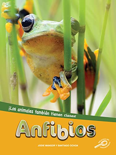 Anfibios (Amphibians), Guided Reading Level N (Los animales también ...