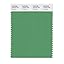 PANTONE Smart 16-6008X Color Swatch Card, Seagrass - House Paint ...