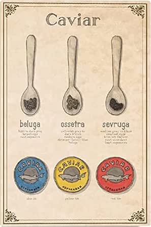 Caviar Type Knowledge Metal Signs Tin Posters Wall Decor Plaque ...