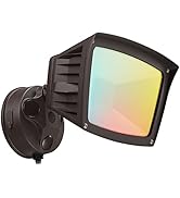 TORCHSTAR LED Barn Light, Dusk to Dawn Area Lights with Photocell ...