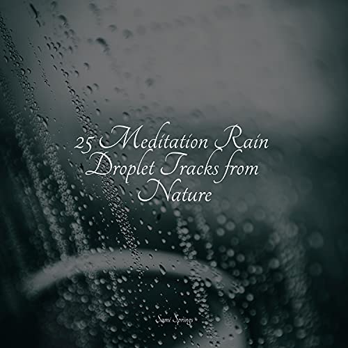 Amazon.com: 25 Meditation Rain Droplet Tracks from Nature : Yoga ...