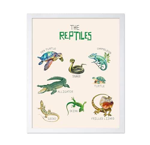 Amazon.com: Monem Art The Reptiles Poster - Learning Materials Print ...