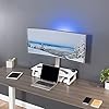 Amazon.com: VIVO 24 inch Monitor Stand, Wood & Steel Desktop Riser ...