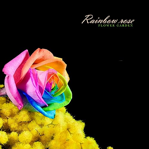 Play Prismatic Rose by Flower Garden on Amazon Music
