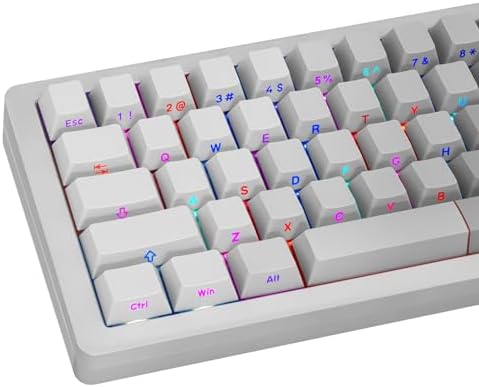Amazon.com: Foamy Lizard Pro Rubber Keycap Set Backlit Set of Cherry MX ...