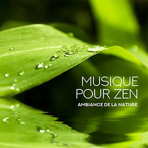 Amazon MusicでMusique pour ZenのMusique pour Zen – Ambiance de la nature ...