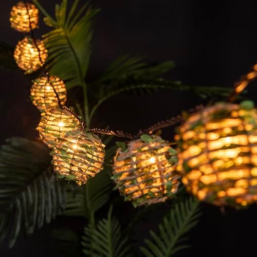 Decorative Lantern String Lights, Outdoor Plug in Hanging Lights with ...
