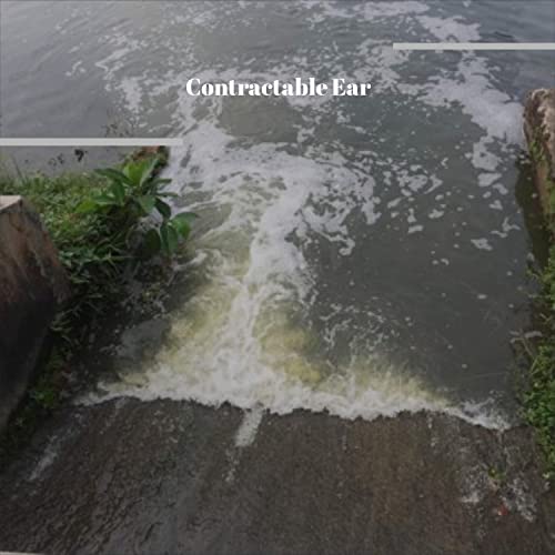 Amazon.com: Contractable Ear : VARIOUS ARTISTS: Digital Music