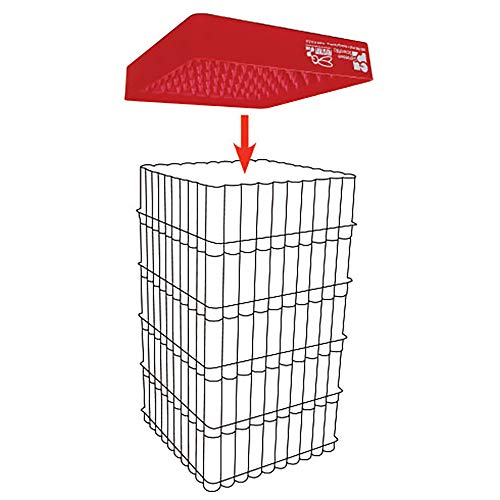 The 30 Best Lab Drosophila Vials of 2025 [Verified] - Cherry Picks