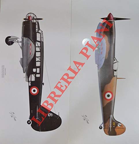 Amazon.com: Caproni Ca 314 B - Supermarine Spitfire Mk V C - Reggiana ...