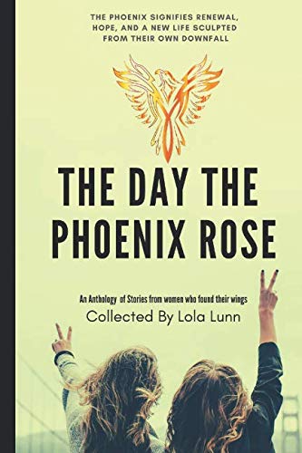The Day The Phoenix Rose (The Phoenix Project): Amazon.co.uk: Lunn ...