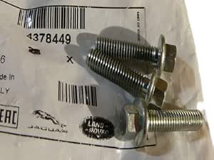 Amazon.com: Genuine LAND ROVER WATER PUMP SCREW LR2 RANGE ROVER EVOQUE ...