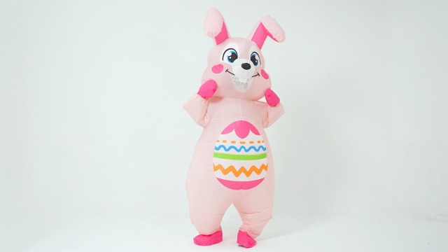 Watch Inflatable Bunny Costume on Amazon Live
