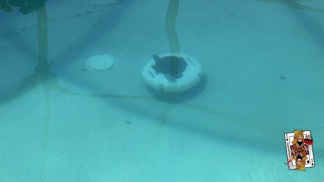 JakeOfALL's Amazon Page