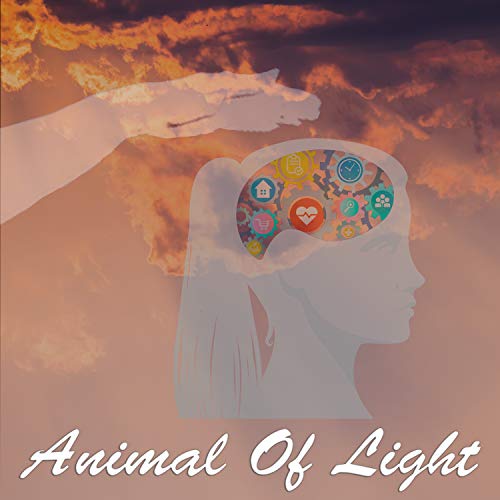 Amazon.co.jp: Animal Of Light : Heal Minds: Digital Music