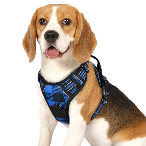 Pug Harness – The 15 best products compared - Wild Explained