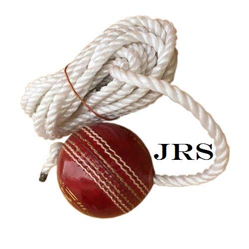 JRS T20 J03 Leather Cricket Hanging Ball for Practice and Bat Knocking ...