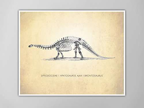 Amazon.com: Brontosaurus Dinosaur Art Print, Natural History Poster ...