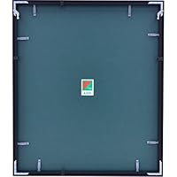Amazon | FUJICOLOR 額縁 A300 半切 アルミ ブラック 301513 | フジカラー | フォトフレーム