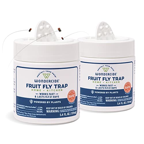 Top 10 Best Traps For Fruit Flies : Reviews & Buying Guide - Katynel