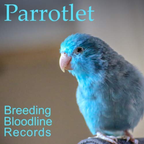 Parrotlet Breeding Bloodline Records: Bird breeding records, bird ...