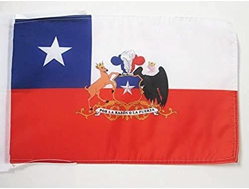 Amazon.com : Chile with arms Flag 18'' x 12'' cords - Chilean SMALL ...