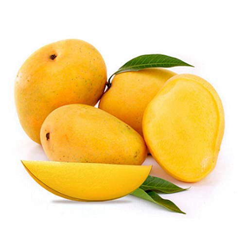 Very Sweet & juice Grafted Kishan Bhog Mango(Pack Of-1) Healthy Live ...