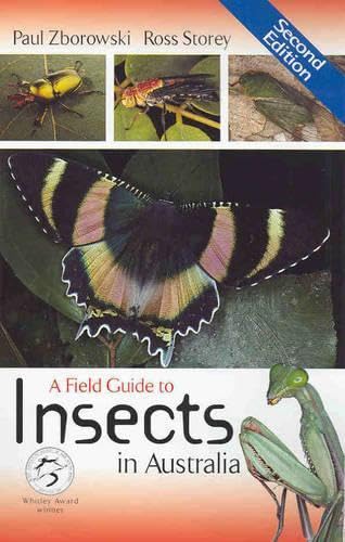 A Field Guide to Insects in Australia: Paul Zborowski: 9781876334963 ...