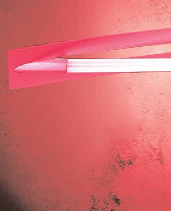 Genius ceiling lamp - Color PL Series - medium, ice, 220 - 240V (for ...