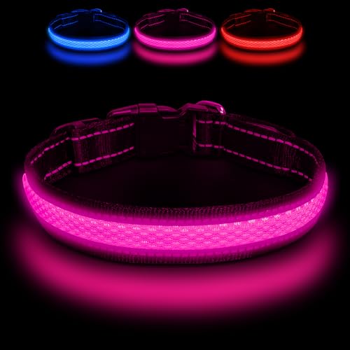AUAUY Light Up Dog Collar, LED Dog Collar Light USB Rechargeable ...