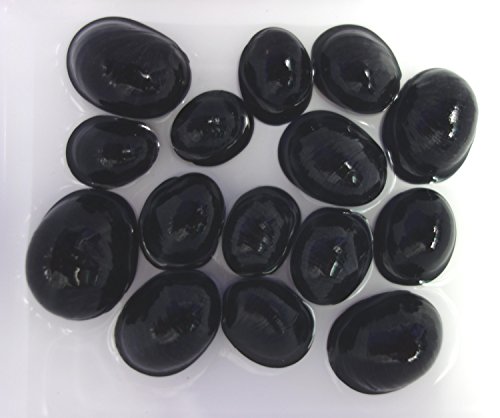 Stahlhelmschnecke Füttern – Die 15 besten Produkte im Vergleich ...