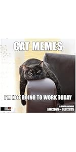 Amazon.com: RED EMBER Fat Cats 2025 Wall Calendar 12 Month | 12" x 24 ...