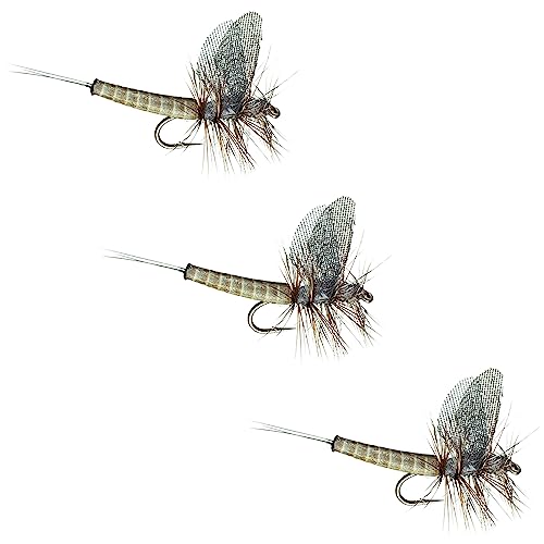 Amazon.com: Fly Fishing Flies by Colorado Fly Supply - Lucent Wing Grey ...