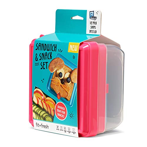 The 17 Best Fit & Fresh Lunch Boxes of 2024 [Verified] - Cherry Picks