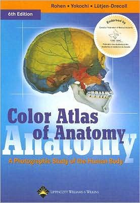 Color Atlas of Anatomy (text only) 6th (Sixth) edition by J. W. Rohen,C ...
