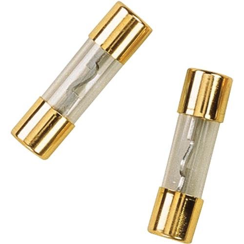 BOSS GF30 S GOLD 30A FUSE 5PACK : Amazon.ca: Automotive