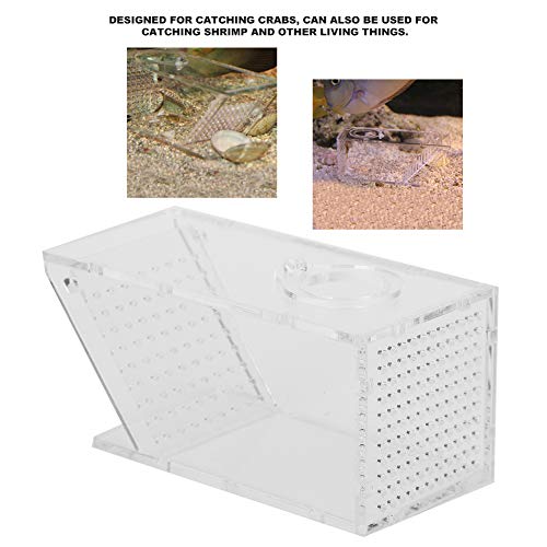Freshwater Crab Pest Trap Acrylic Clear Aquarium Fish Catcher Bait Box ...