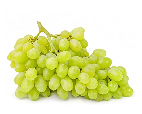 DIARAA Grape Plant Live Seedless Sweet Plant Hybrid Long Angoor Healthy ...