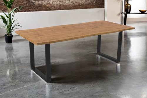 Tischplatte 250 X 100