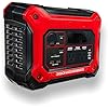 Amazon.com: NEW! FITS PREDATOR 350 Power Station, 350 Running Watt, 294 ...