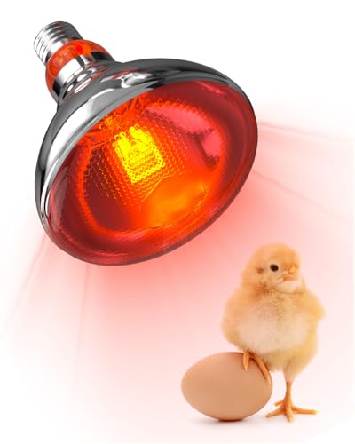 10 Best Light Bulb to Heat Dog House [2025]